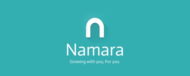 Namara fintech - Step Dubai